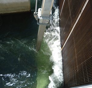 Hydronic T Series Trash Rake - Lakeside Equipment Corporation