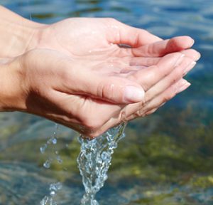 Grit Collection Archives - Lakeside Equipment Corporation